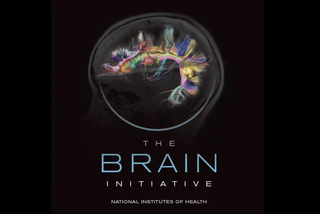 Will the Government "BRAIN Initiative" Improve Mental Health or ...