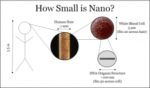Nano-Toxicity: Are Nanoparticles in Food and Our Environment the New ...